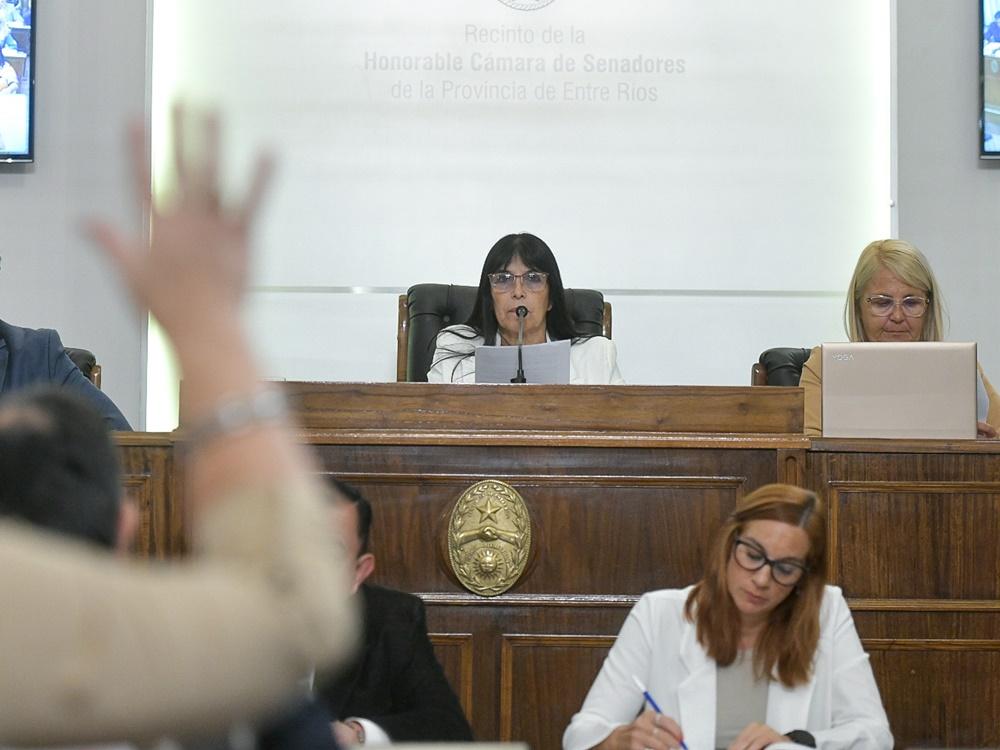 El Senado Provincial Aprobó La Reforma Del Código Fiscal Y La Ley